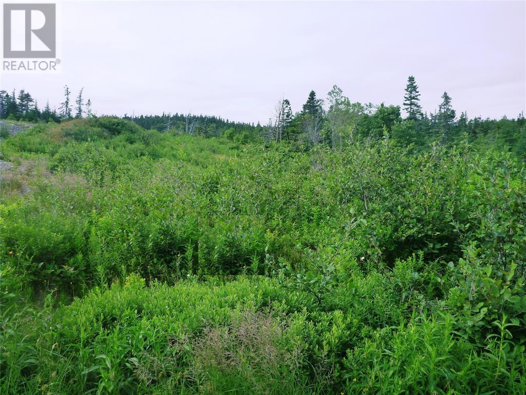 For sale: 2-4 Snows Pond Road, North River, Newfoundland & Labrador ...