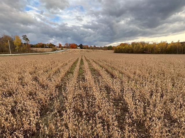 For sale: Ch. Hudon, Dunham, Quebec J0E1M0 - 23014990 | REALTOR.ca