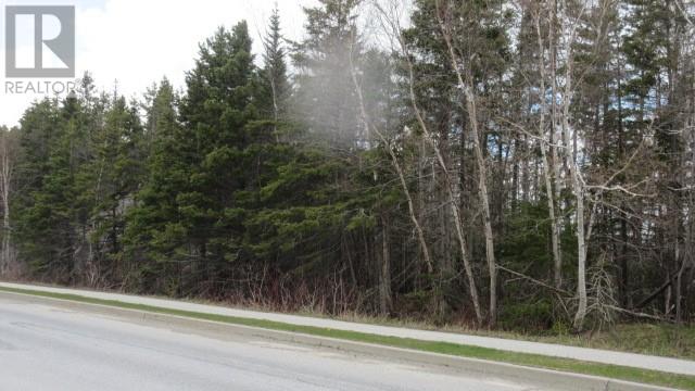 For sale: 9 WESTHAVEN Drive, PASADENA, Newfoundland & Labrador A0L1K0 ...