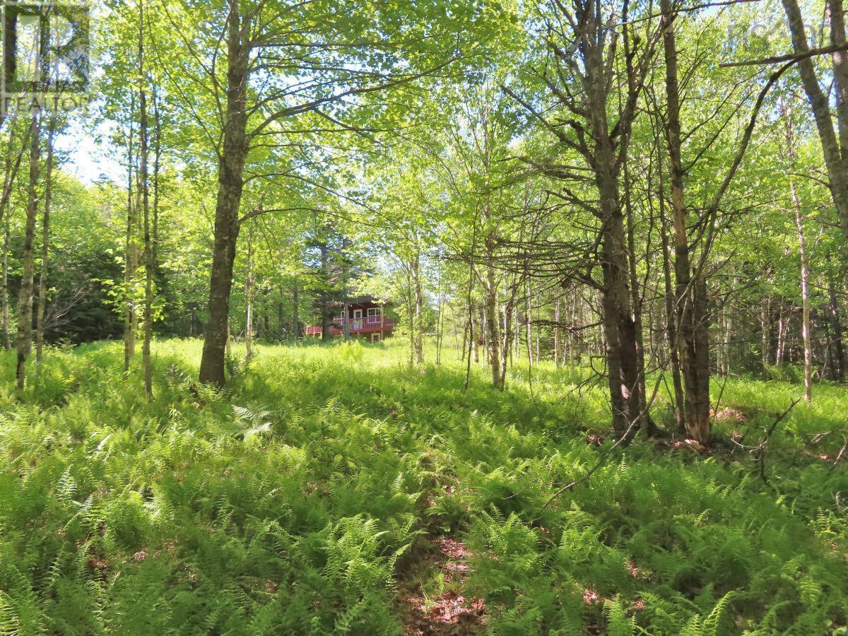 For sale: 45 Lucas Lane, Kempt Road, Nova Scotia B0E1J0 - 202313246 ...