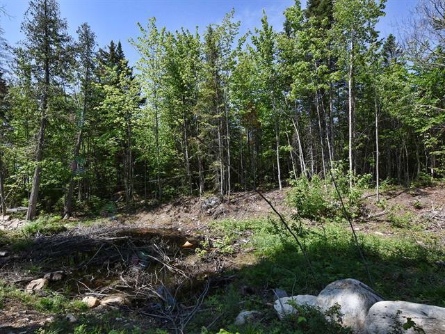 For sale: Ch. du Lac-Gratten, Rawdon, Quebec J0K1S0 - 25712438 | REALTOR.ca