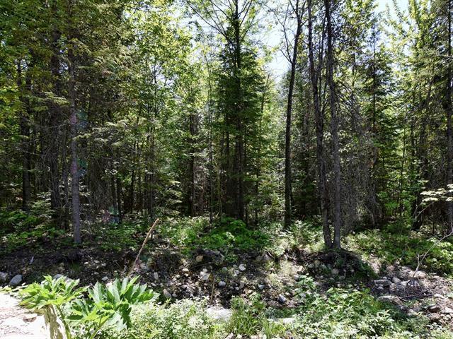 For sale: Ch. du Lac-Gratten, Rawdon, Quebec J0K1S0 - 25712438 | REALTOR.ca