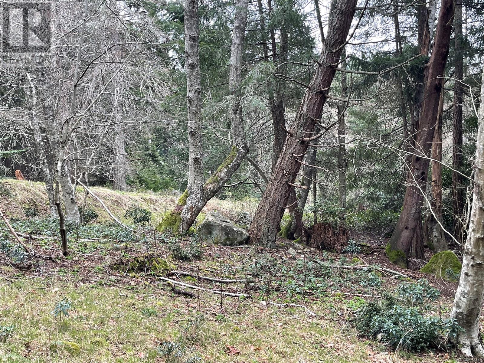 For sale: LOT 102 Sockeye Dr, Mudge Island, British Columbia V0A0A0 ...