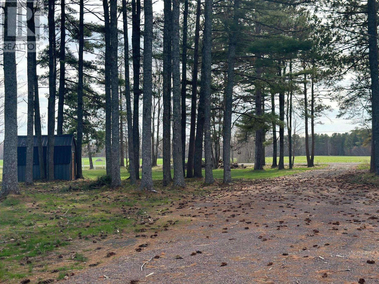 For sale: 794 Palmer Road, Millville, Nova Scotia B0P1C0 - 202400695 | REALTOR.ca