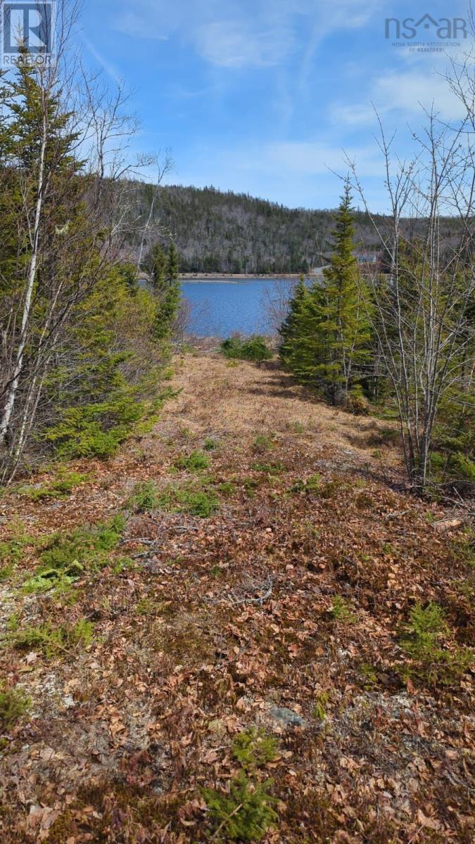 For sale: No. 7 Highway, Goldenville, Nova Scotia B0J3C0 - 202305758 ...