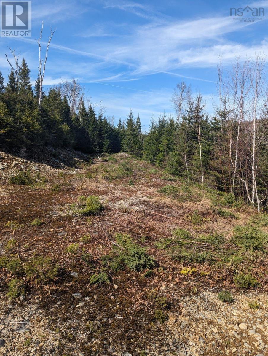 For sale: No. 7 Highway, Goldenville, Nova Scotia B0J3C0 - 202305758 ...