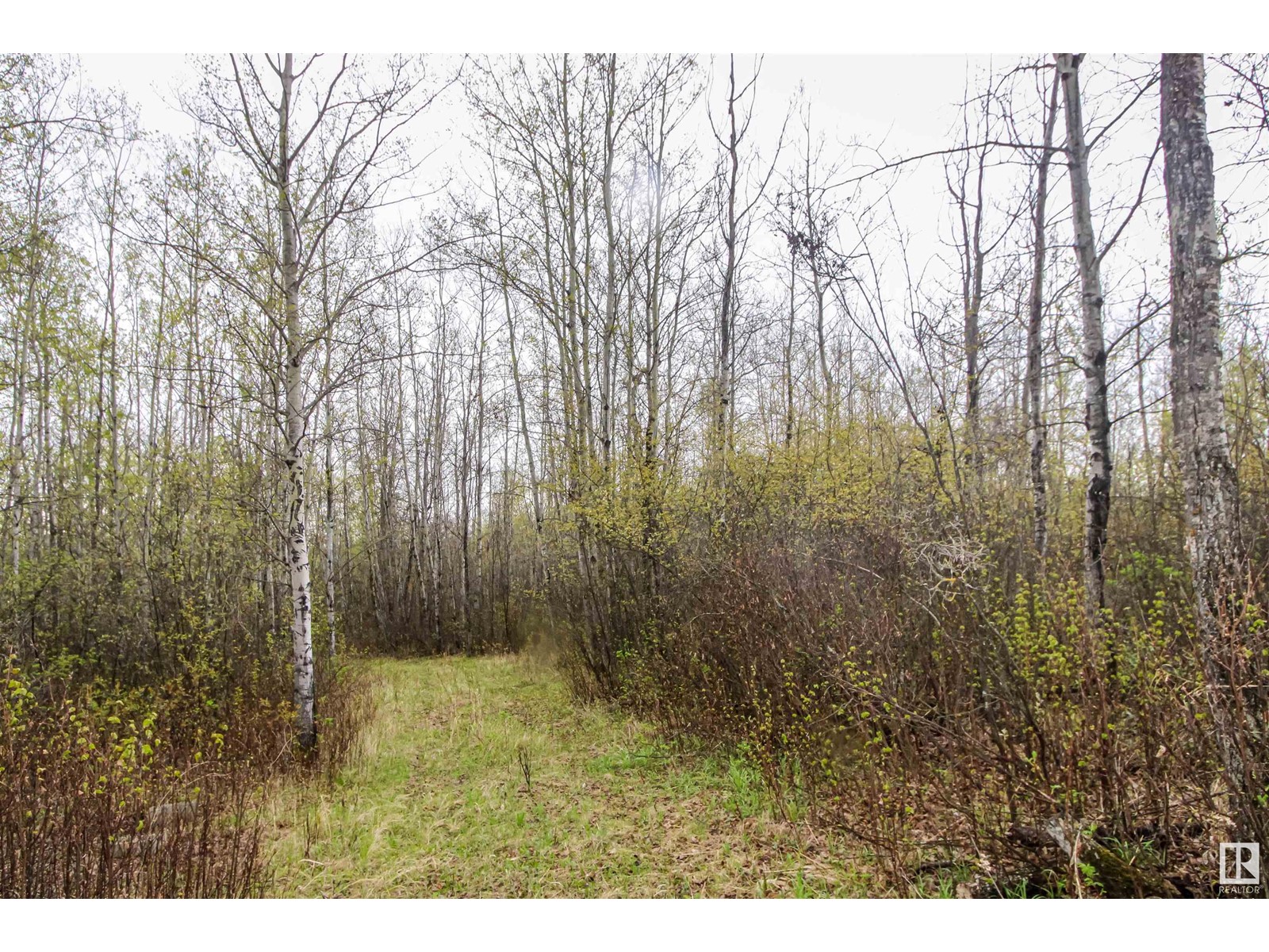 For sale: TWP 600 HWY 28, Rural St. Paul County, Alberta T0A0C0 ...