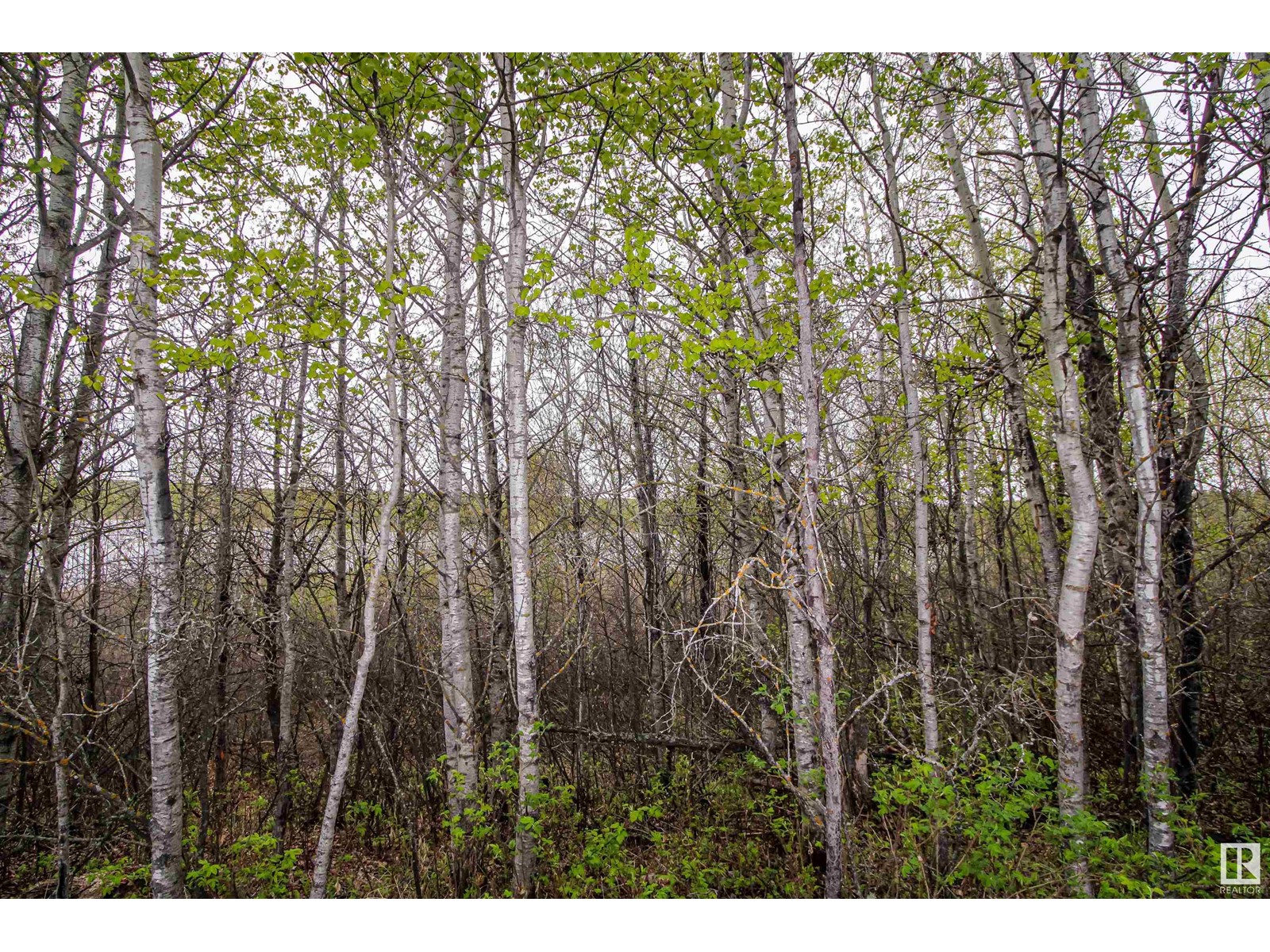 For sale: TWP 600 HWY 28, Rural St. Paul County, Alberta T0A0C0 ...