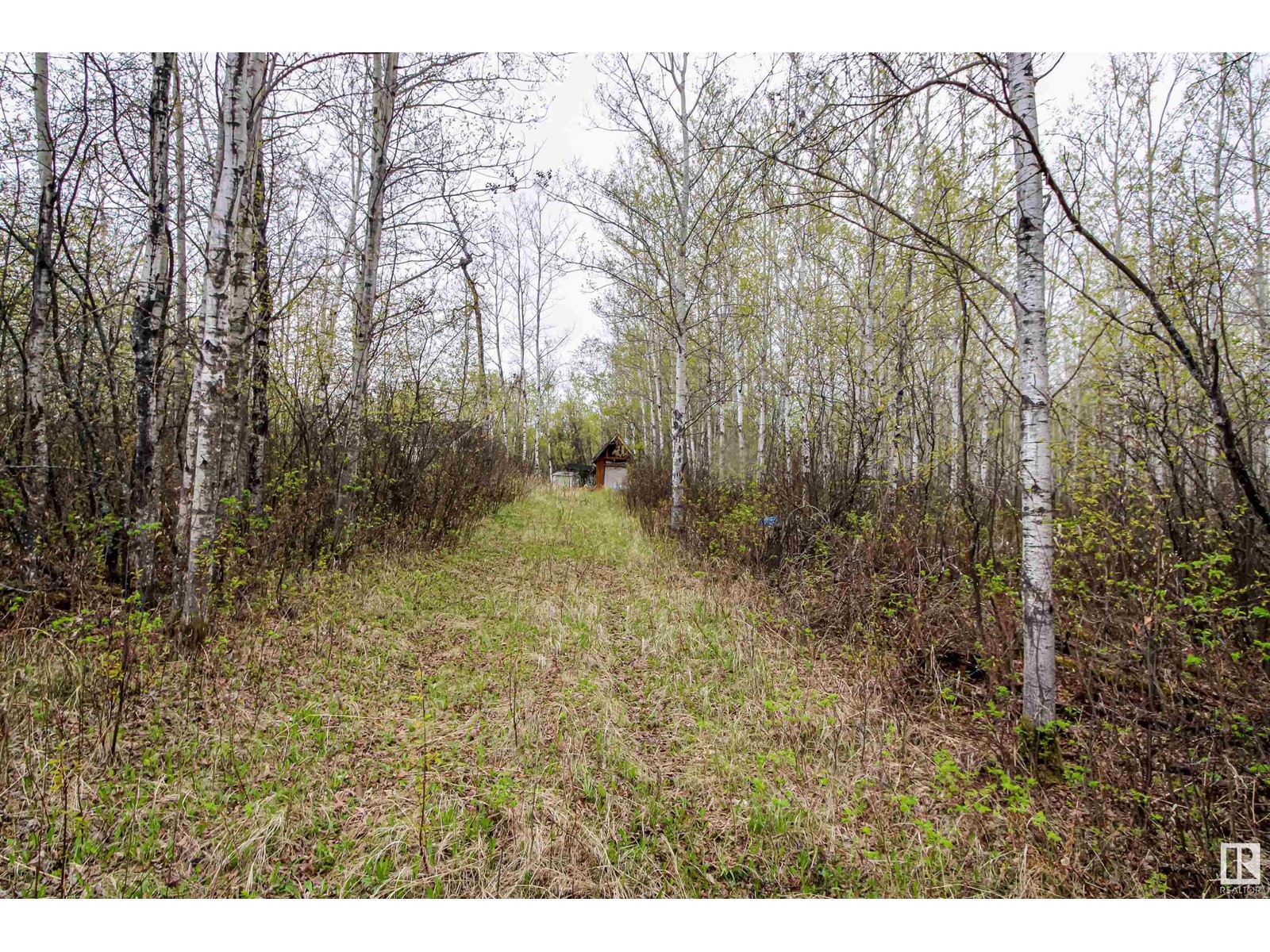For sale: TWP 600 HWY 28, Rural St. Paul County, Alberta T0A0C0 ...