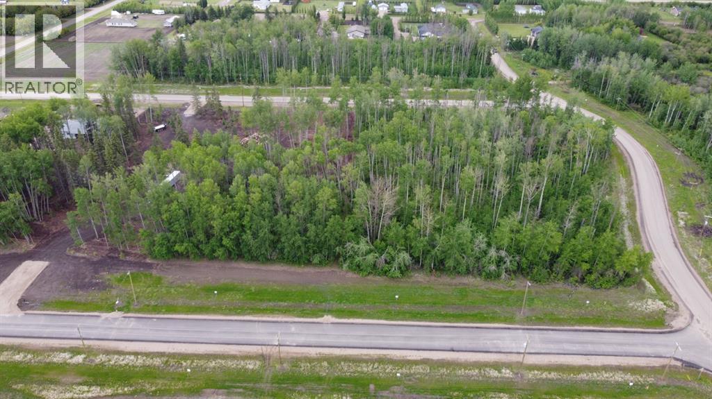 For sale: 9214 97 Ave, La Crete, Alberta T0H2H0 - A2138946 | REALTOR.ca