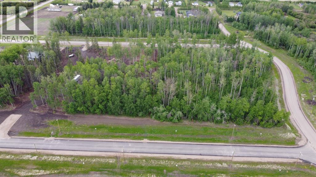 For sale: 9214 97 Ave, La Crete, Alberta T0H2H0 - A2138946 | REALTOR.ca