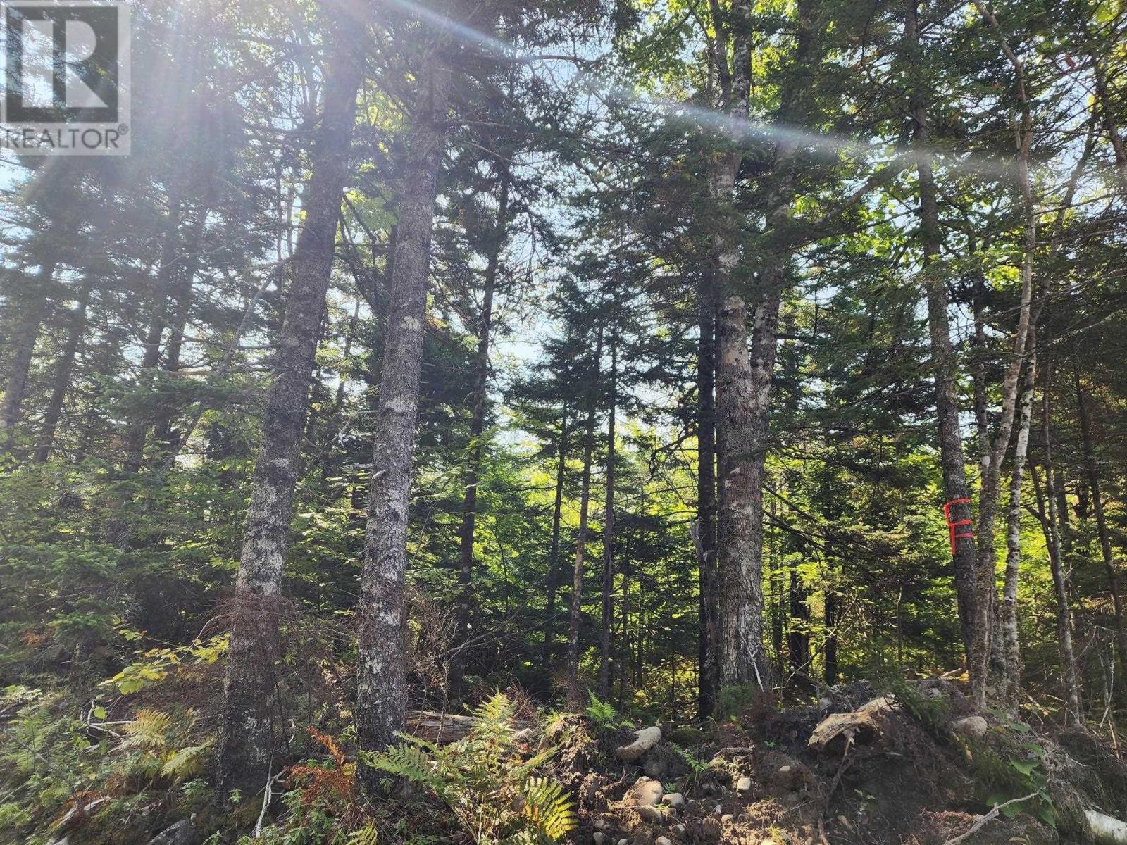 For sale: 875 Beech Hill Road, Beech Hill Farms, Nova Scotia B0T1G0 ...