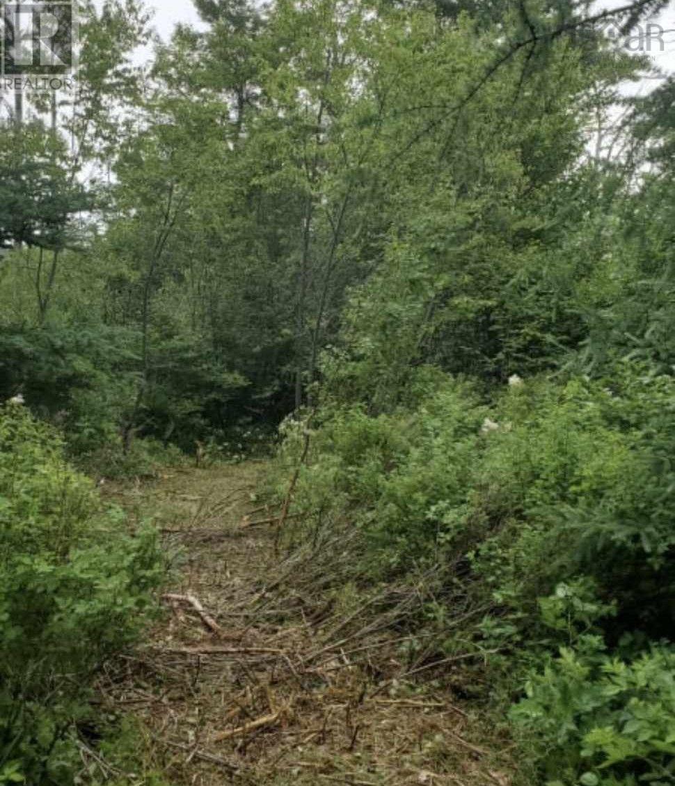 À vendre : 0 Port Morien Drive, Round Island, Nouvelle-Écosse B1B1N5 ...