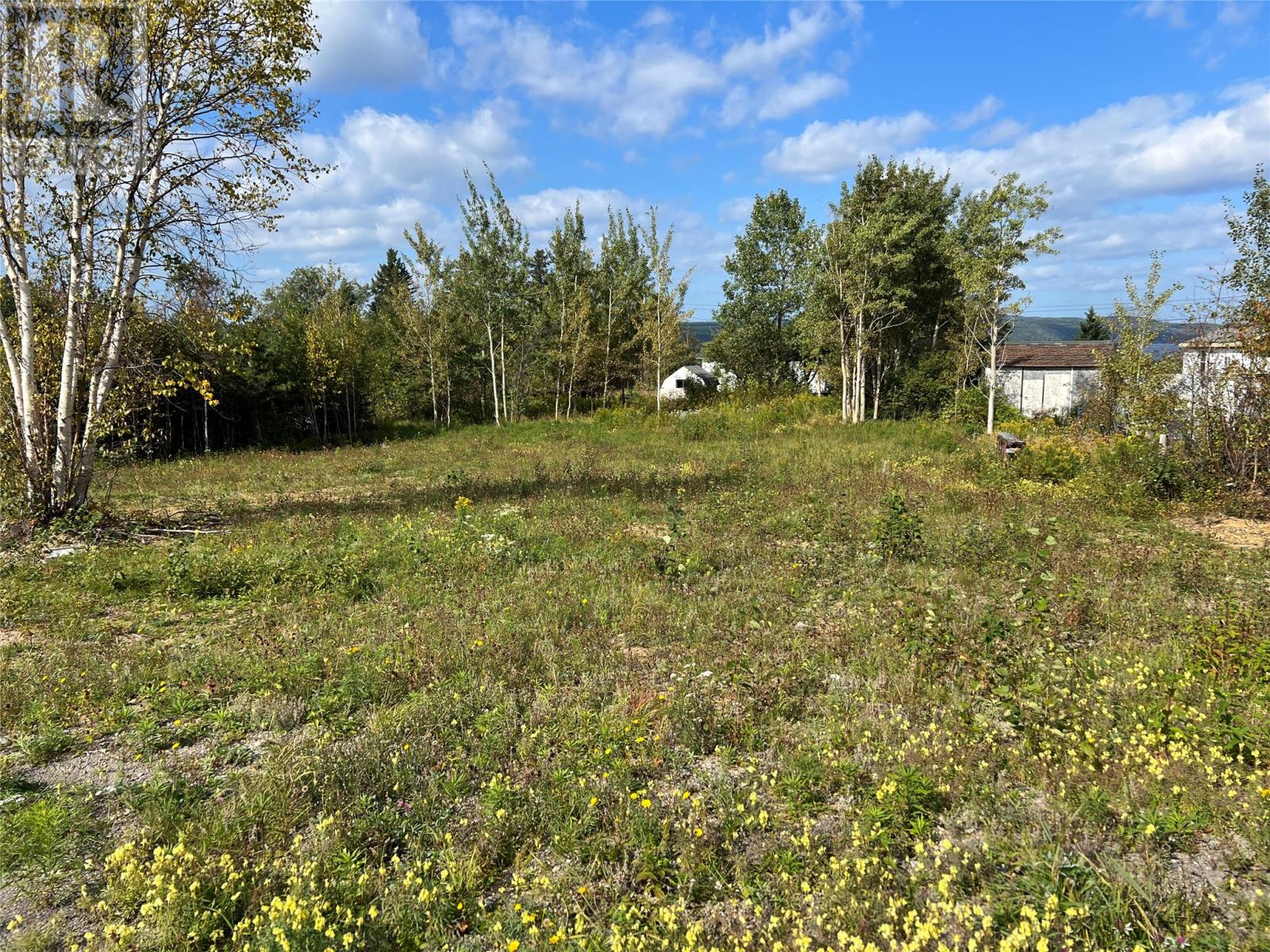 For sale: 1 Hopkins Road, South Brook, Newfoundland & Labrador A0J1S0 ...