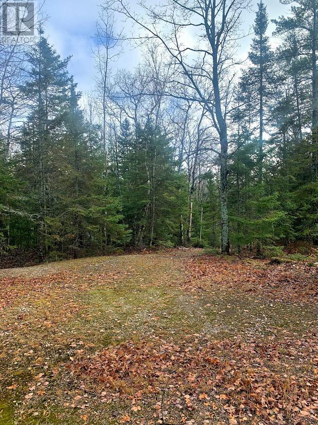 For sale: 185 Baker Trail, Spring Bay, Ontario P0P2B0 - 2119847 ...