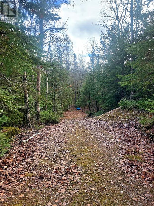 For sale: 185 Baker Trail, Spring Bay, Ontario P0P2B0 - 2119847 ...