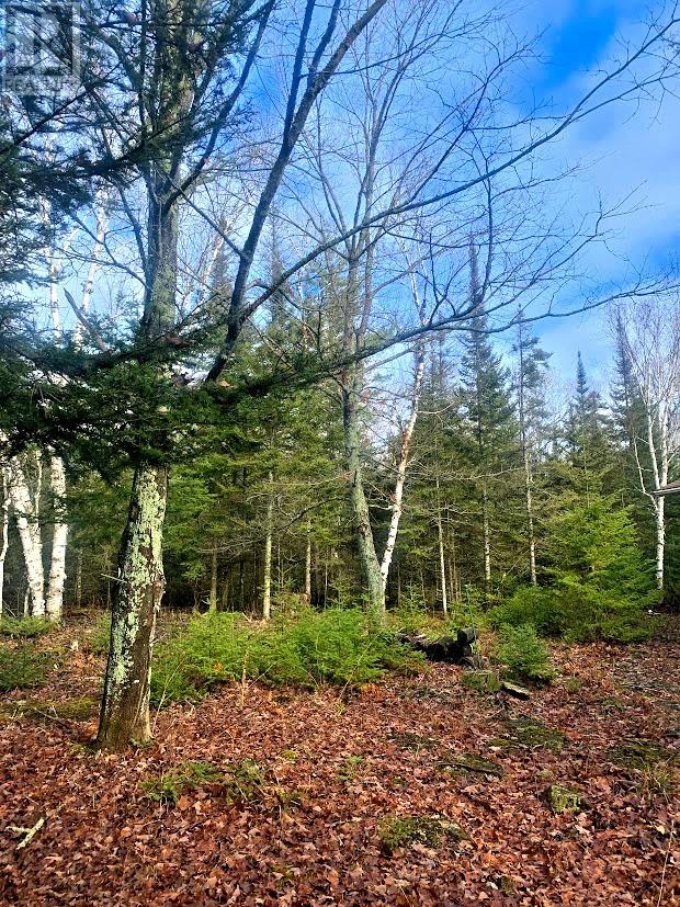 For sale: 185 Baker Trail, Spring Bay, Ontario P0P2B0 - 2119847 ...