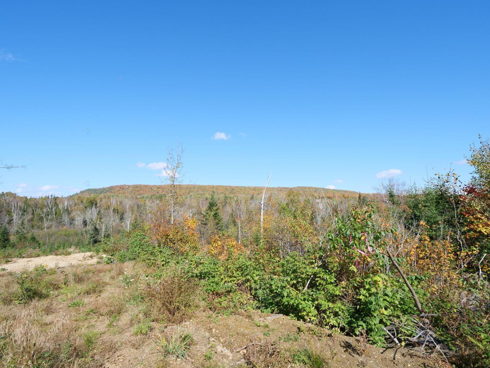 For sale: 9e Rang, Sainte-Anne-du-Lac, Quebec J0W1C0 - 21072752 ...