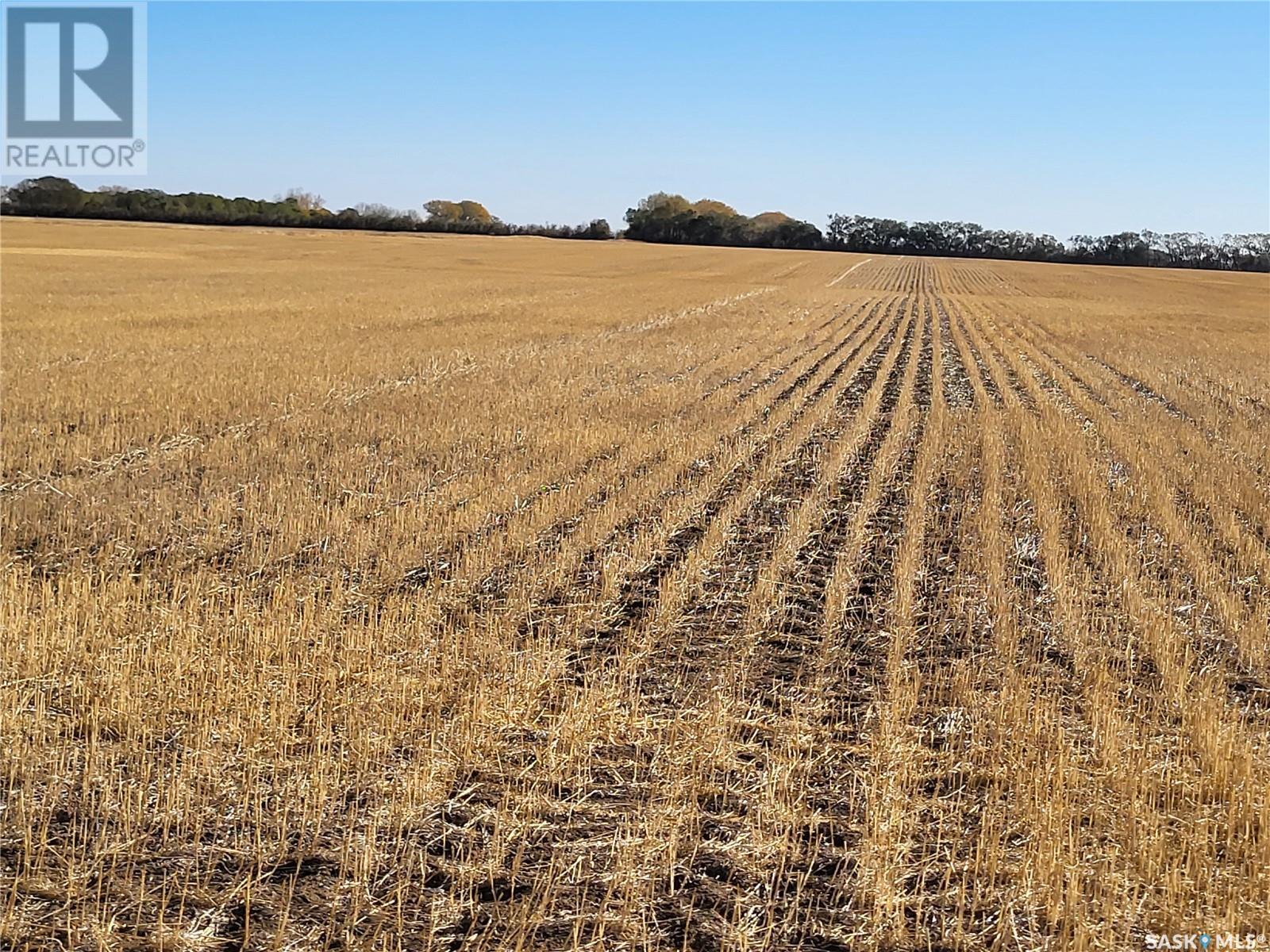 For sale: Kinley 1,031 acres Grain Farmland, Perdue Rm No. 346 ...