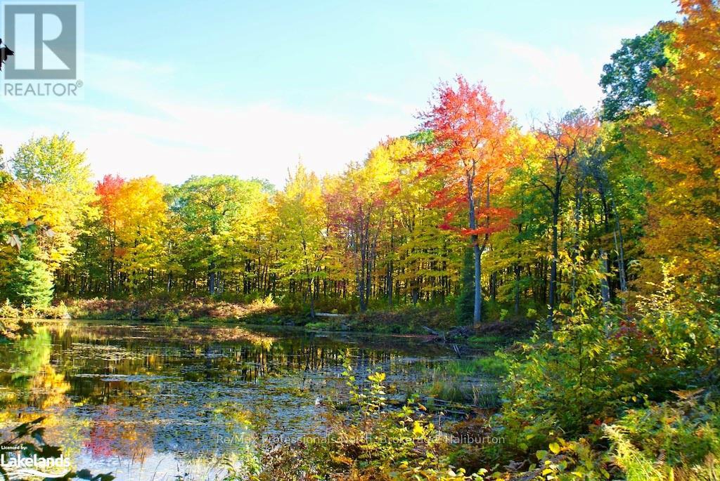 For sale: 0 HIGHWAY 35, Minden Hills (Lutterworth), Ontario K0M2K0 ...