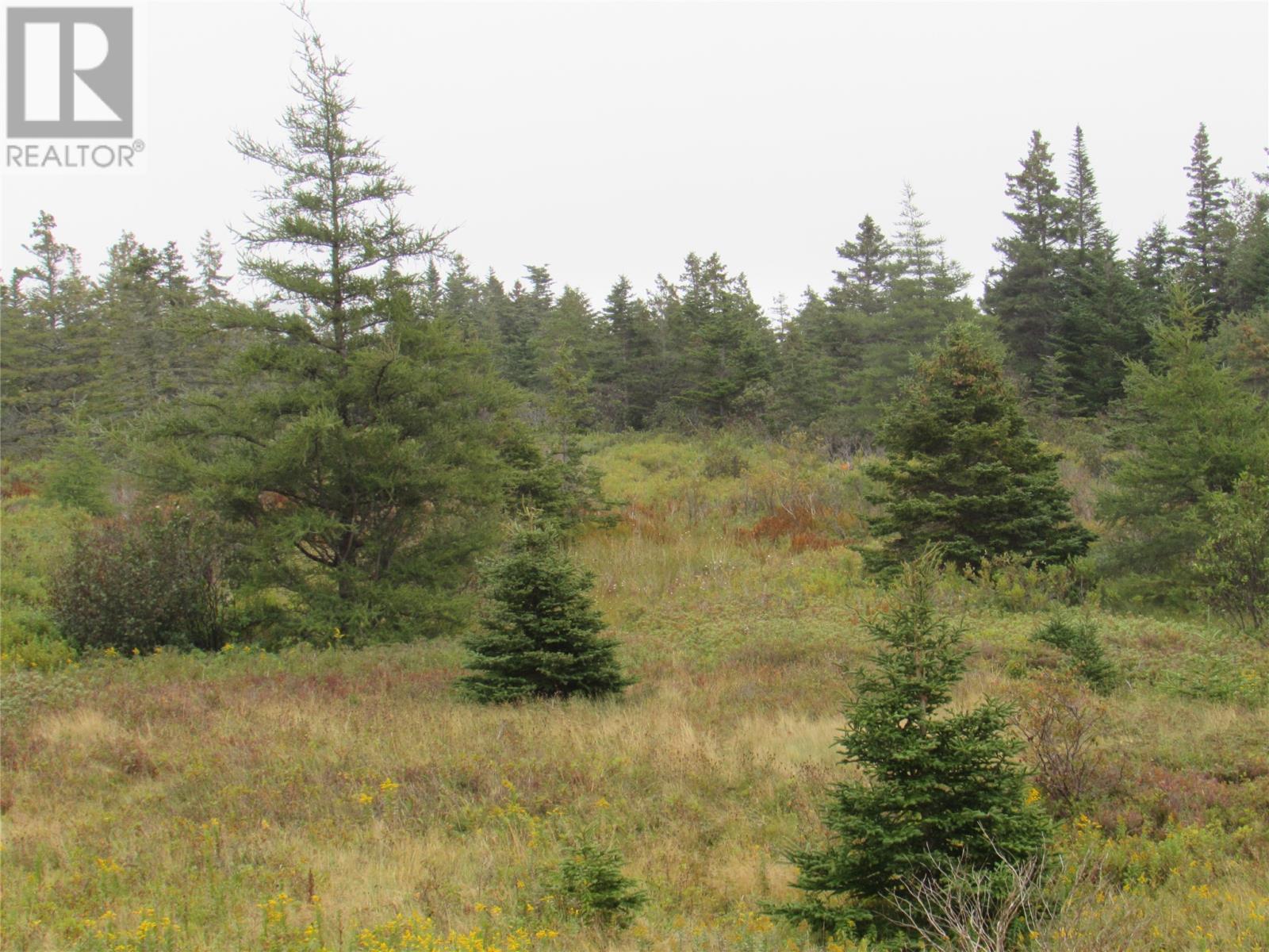 For sale: 16 Old Road Extension, Colliers, Newfoundland & Labrador ...