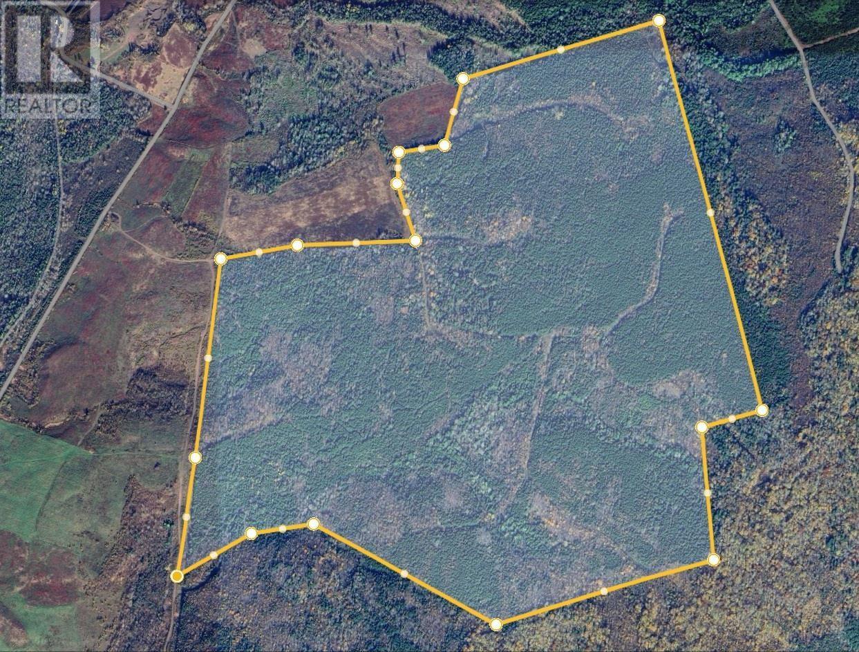 For sale: Newville Road, Halfway River, Nova Scotia B0M1S0 - 202502564 ...