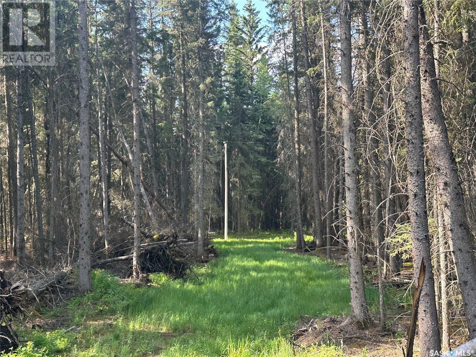 À vendre : 9.99 Acre Dexter Hall Rd, RM Mervin, Turtle lake, Mervin Rm ...