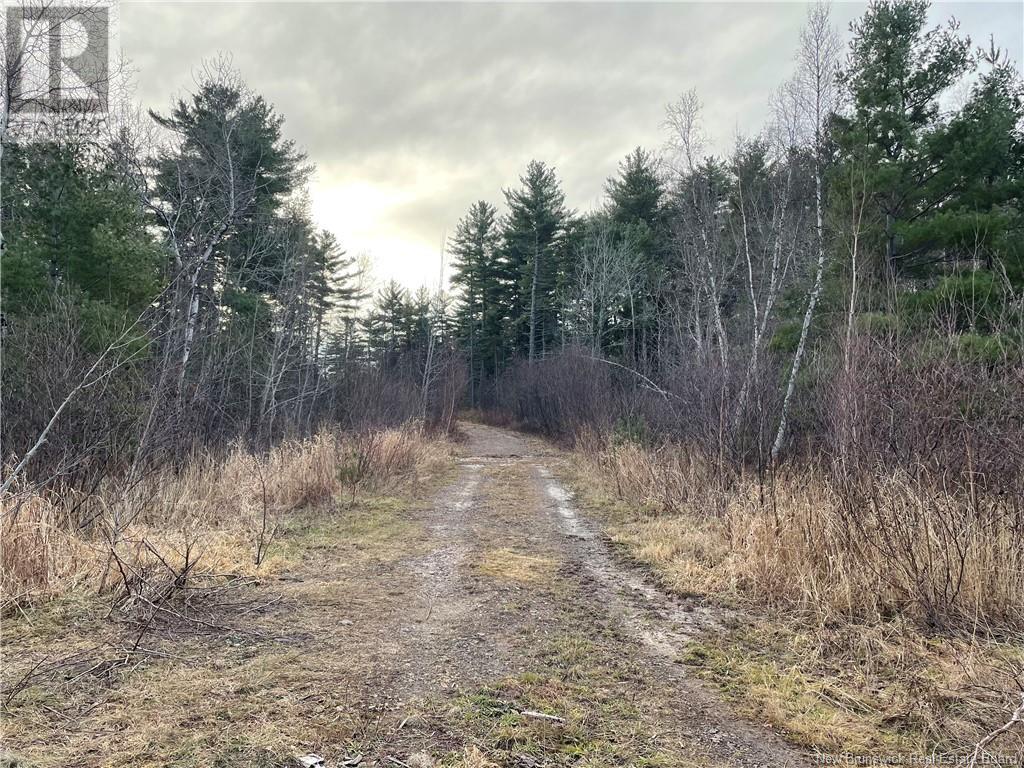 For sale: Route 105, Youngs Cove, New Brunswick E4C2C2 - NB116027 ...