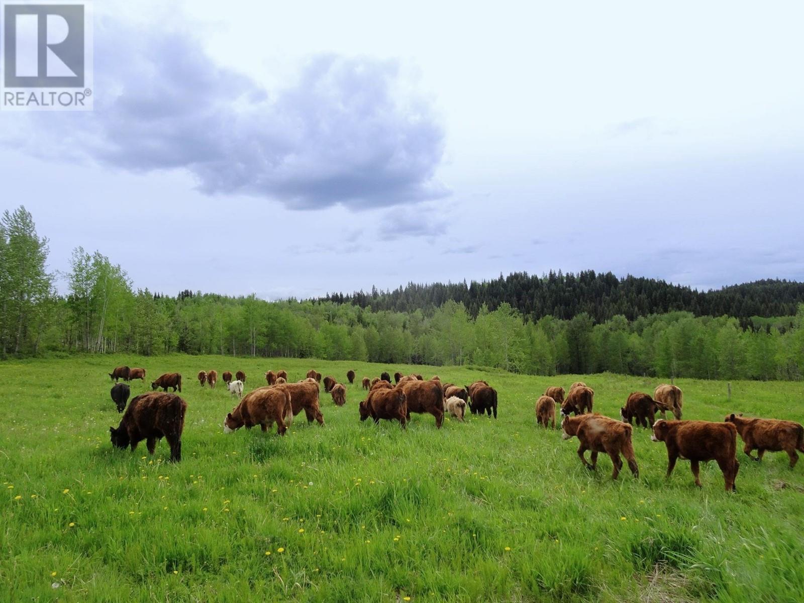 For sale: DL5277 DAY ROAD, Horsefly, British Columbia V0L1L0 - R2844654 ...