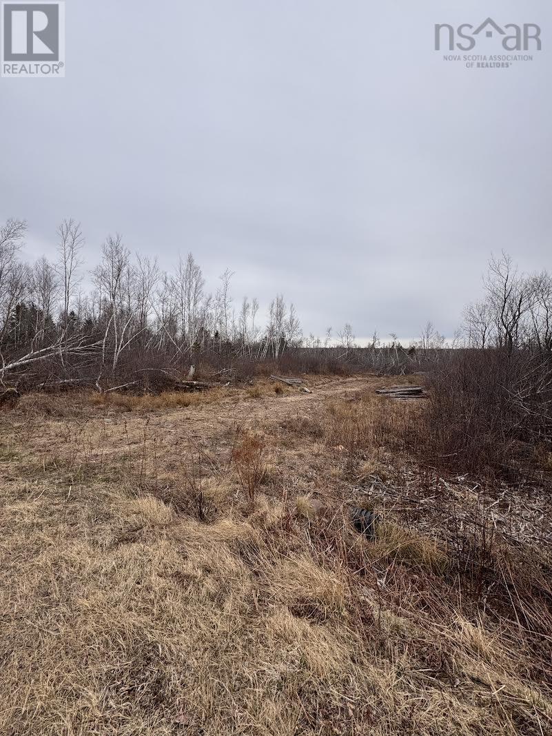 For sale: 50 Acres Old Pictou Road, Bigney, Nova Scotia B0K1N0 ...