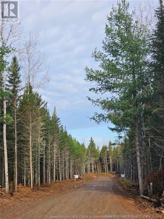 For sale: Lot 23-2 B de la paix, Sainte-Marie-De-Kent, New Brunswick ...