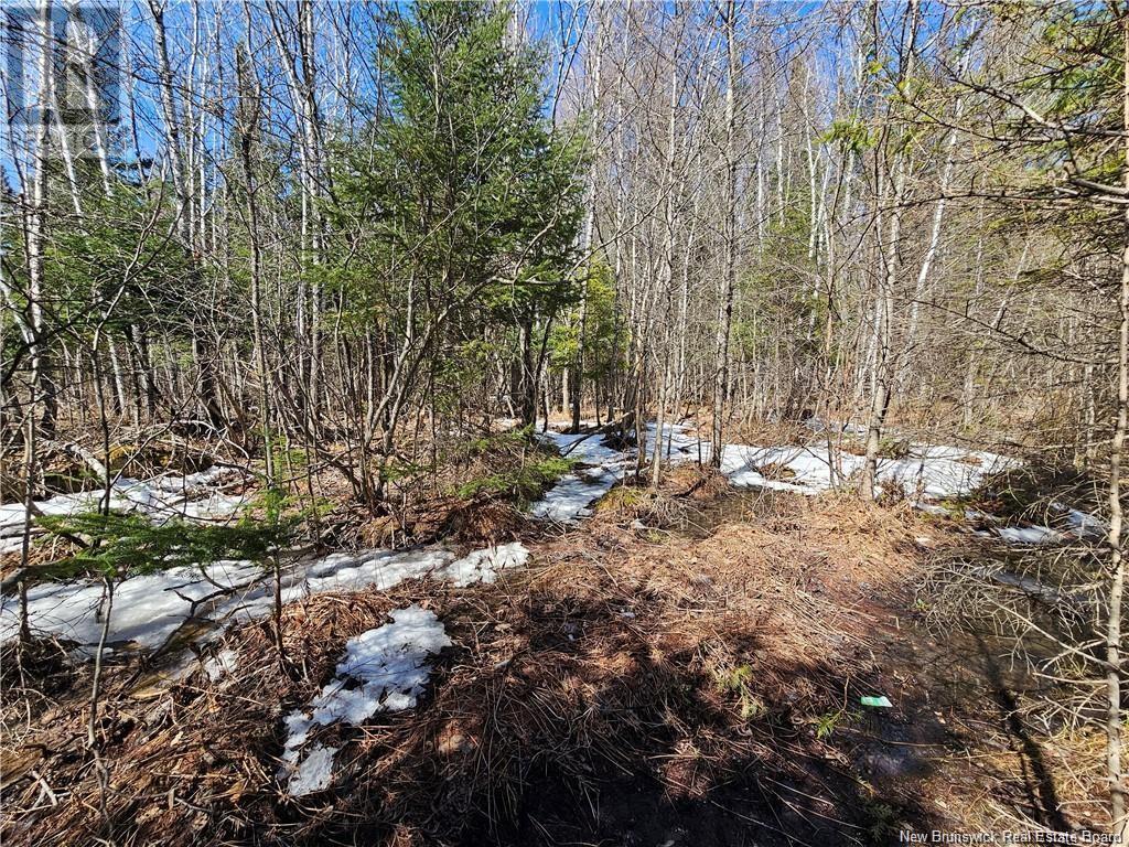 For sale: Route 385, Plaster Rock, New Brunswick E7G3H8 - NB116223 ...