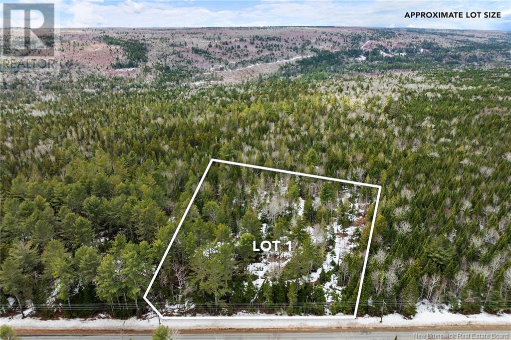 For sale: Lot 1 English Settlement Road, Taymouth, New Brunswick O0O0O0 ...