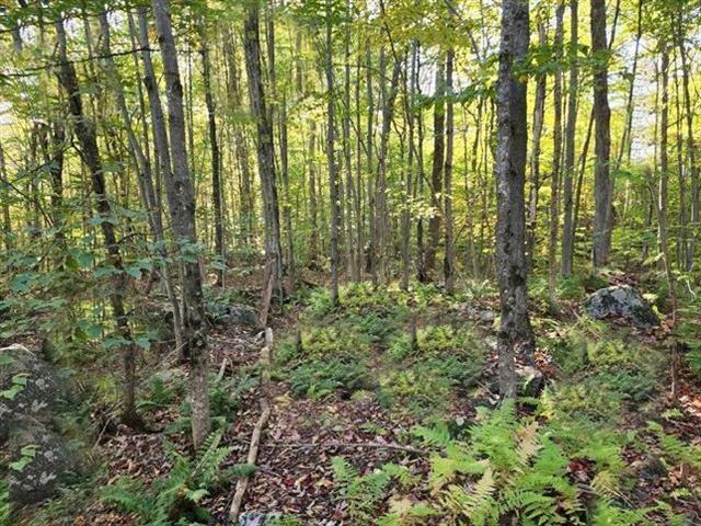 For sale: Ch. de la Montagne, Brownsburg-Chatham, Quebec J8G2B3 ...