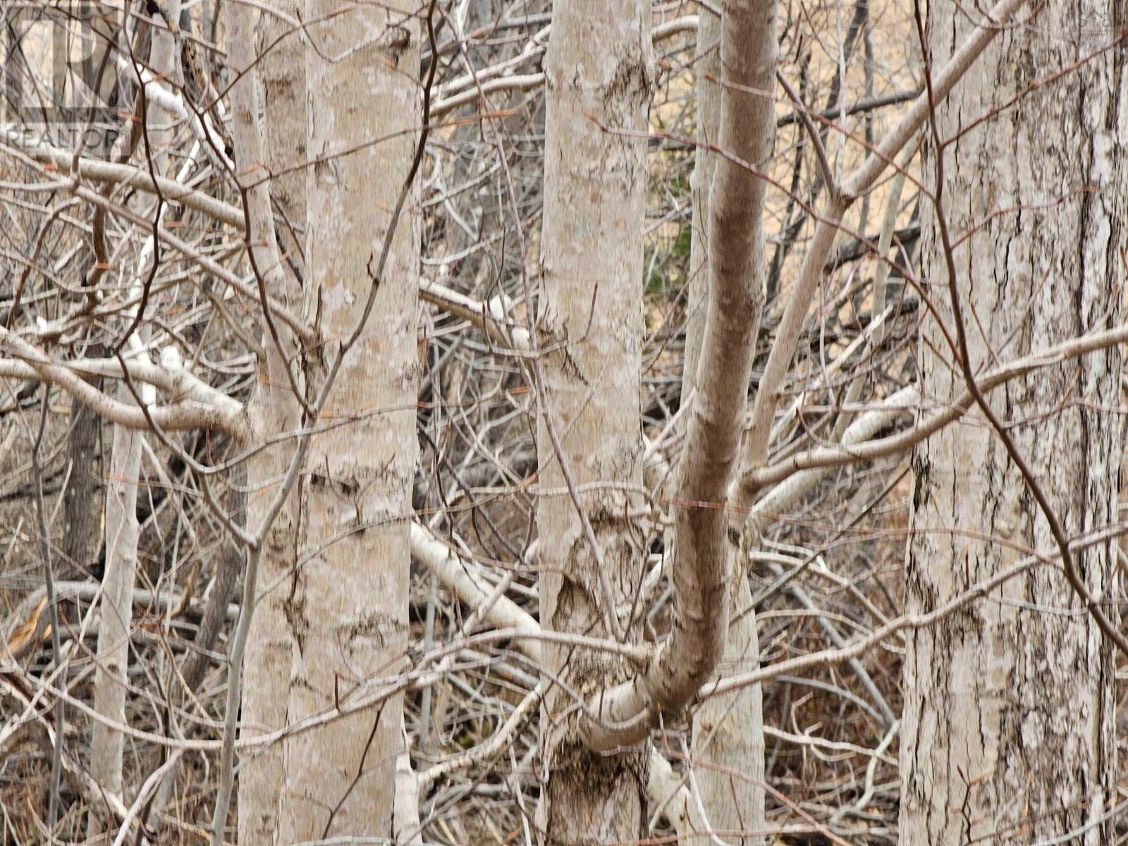 À vendre : unit 5 Hwy 362, Victoria Vale, Nouvelle-Écosse B0S1P0 ...