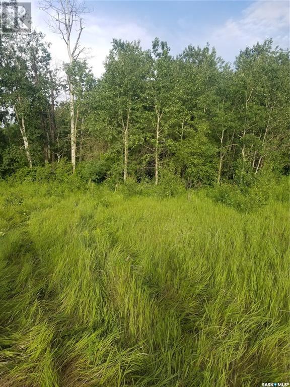 For sale: Hurl Land, Canwood Rm No. 494, Saskatchewan S0J2G0 - SK003608 ...