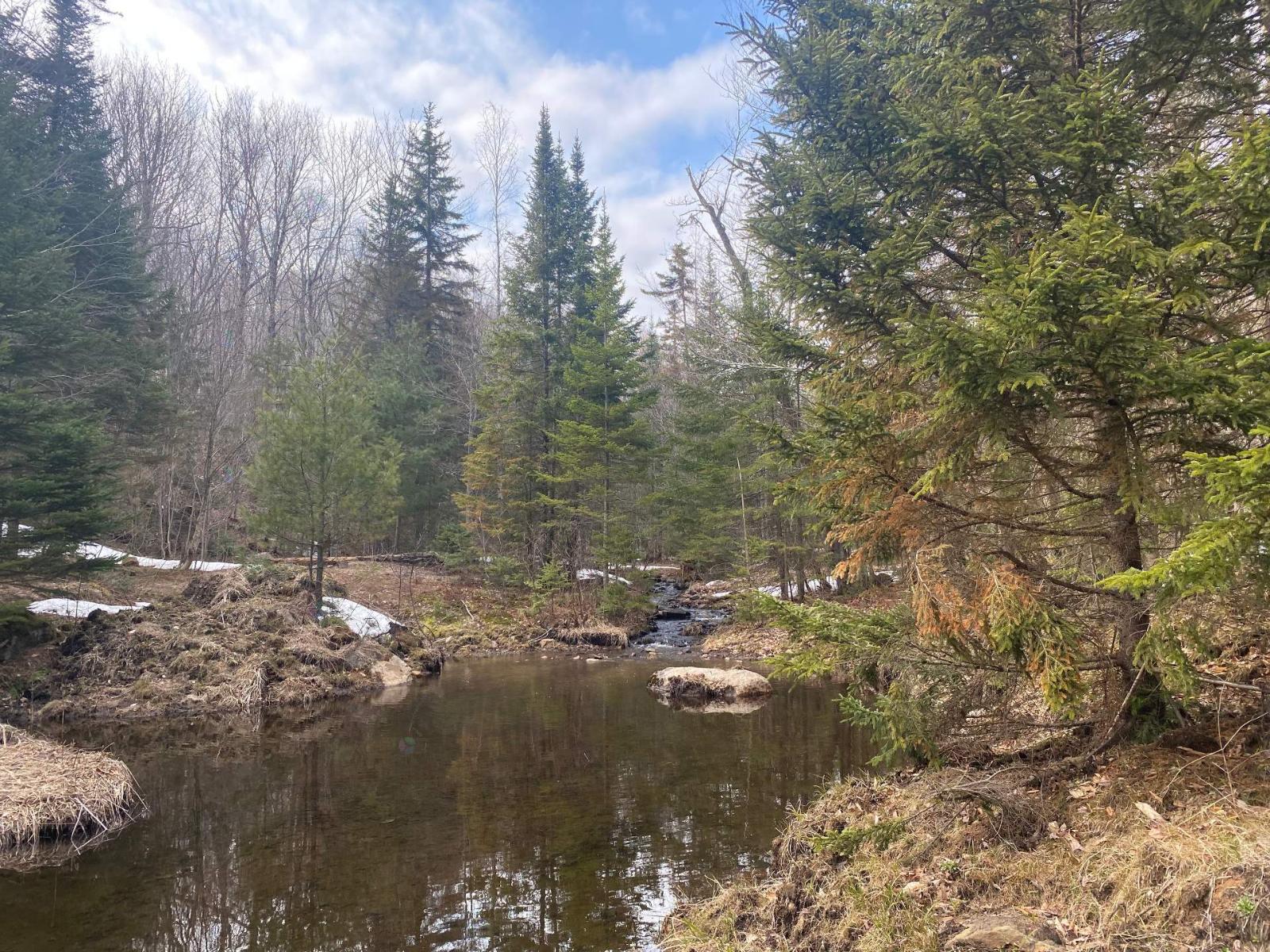 For sale: Route 329, Gore, Quebec J0V1K0 - 11465965 | REALTOR.ca