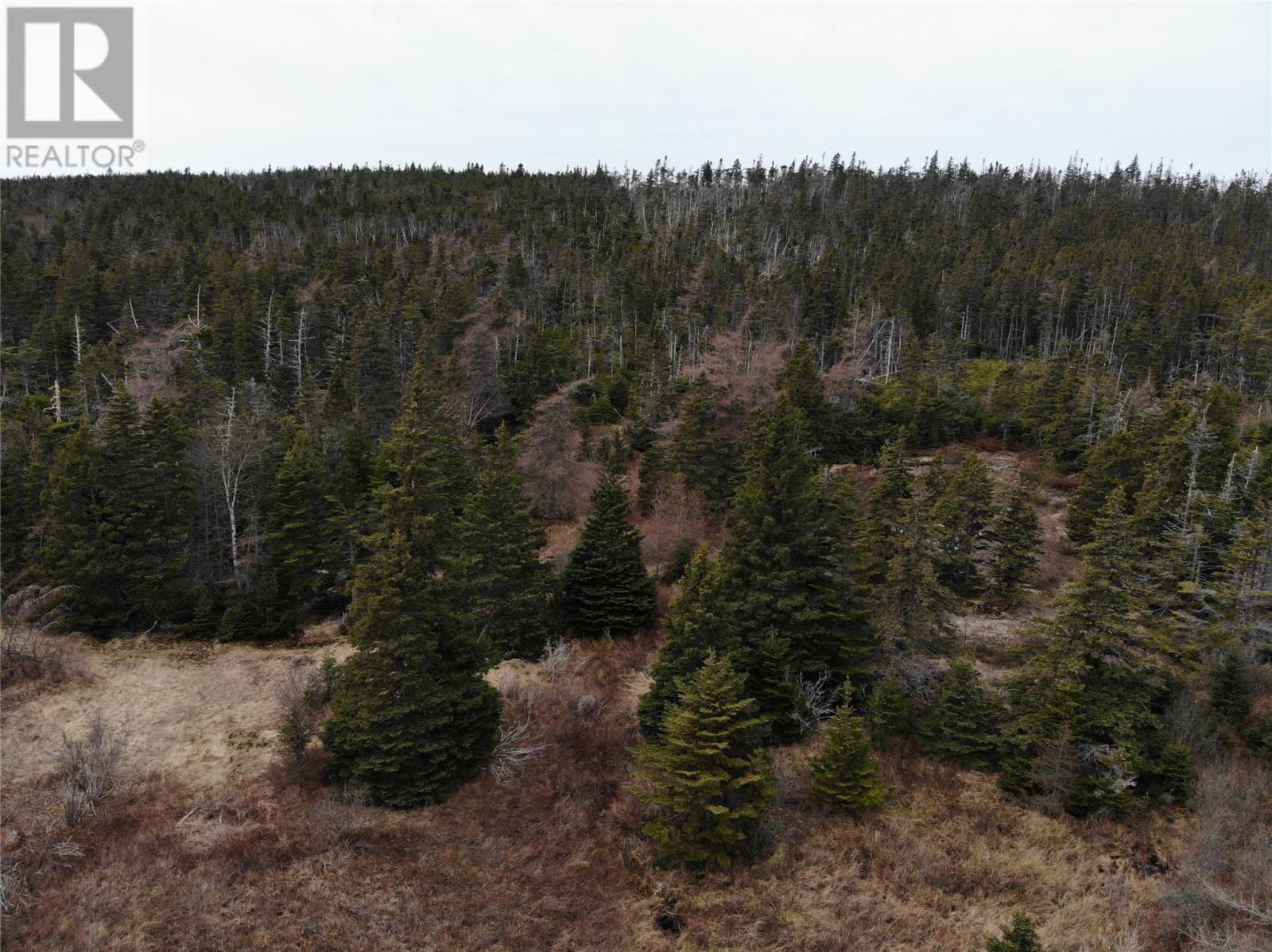 For sale: 76 - 84 Conception Bay Highway, Holyrood, Newfoundland ...