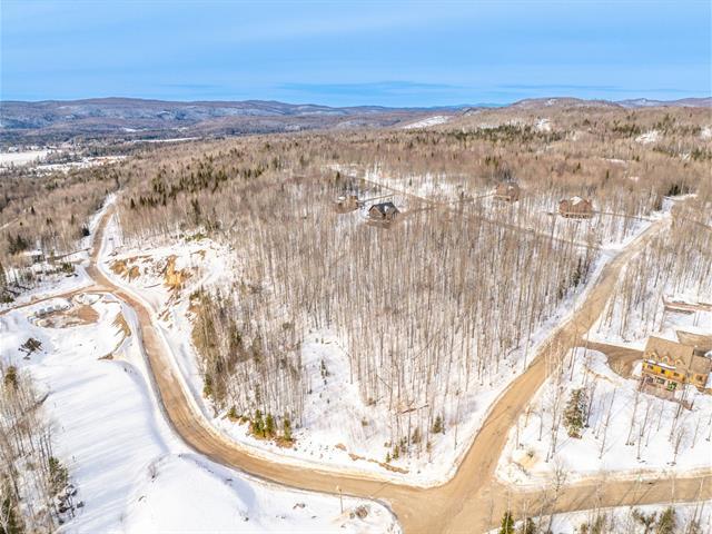 For sale: Ch. du Musée, Amherst, Quebec J0T2L0 - 24672848 | REALTOR.ca