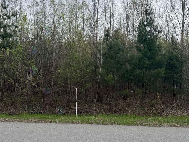 À vendre : Rue des Iris, Franklin, Québec J0S1E0 - 12667974 | REALTOR.ca