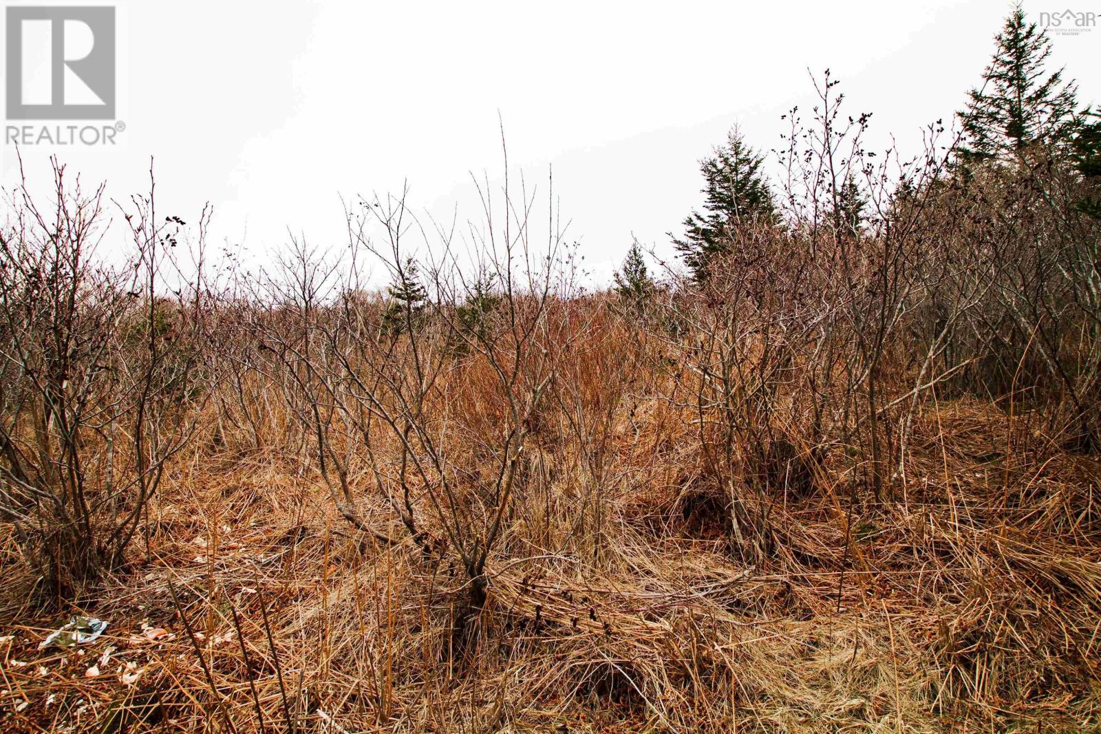 For sale: Lot 39 Quaco Road, Port Maitland, Nova Scotia B5A5X5 ...