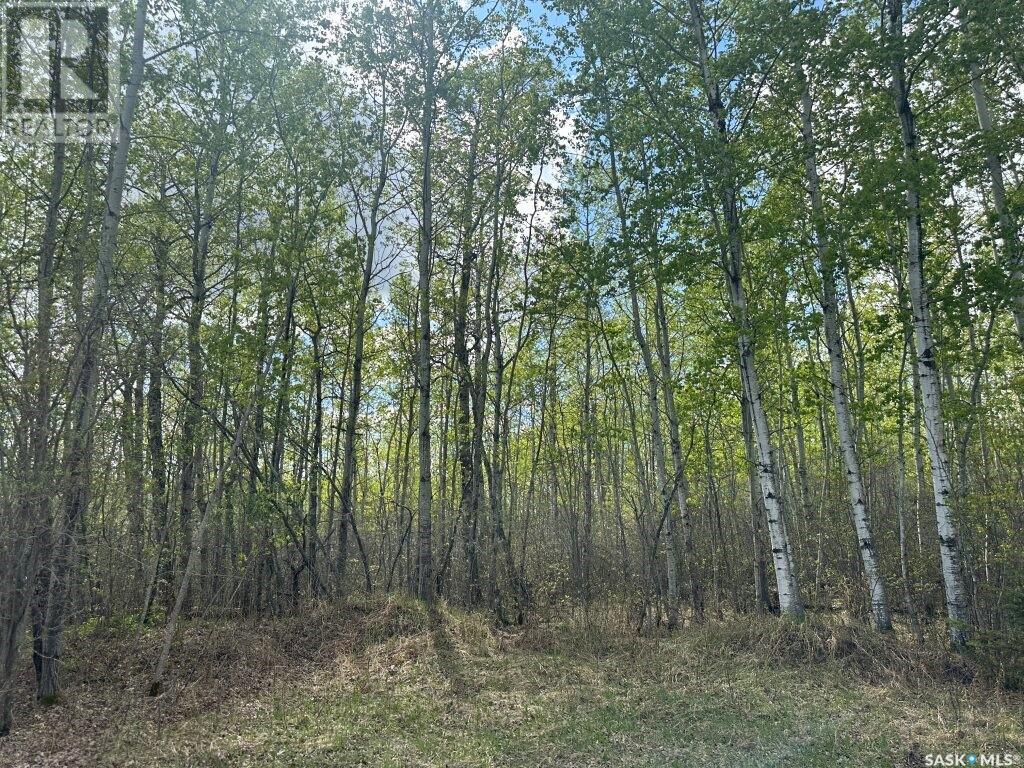 For sale: Parcel K Cottage Road, Turtle Lake, Mervin Rm No.499 ...