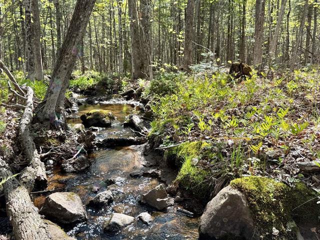 For sale: Route 335, Saint-Calixte, Quebec J0K1Z0 - 19897402 | REALTOR.ca