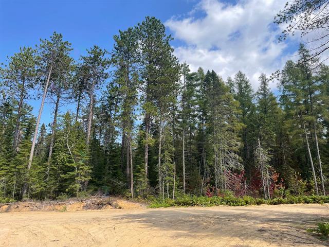 For sale: Rg du Lac-du-Castor, Saint-Alexis-des-Monts, Quebec J0K1V0 ...