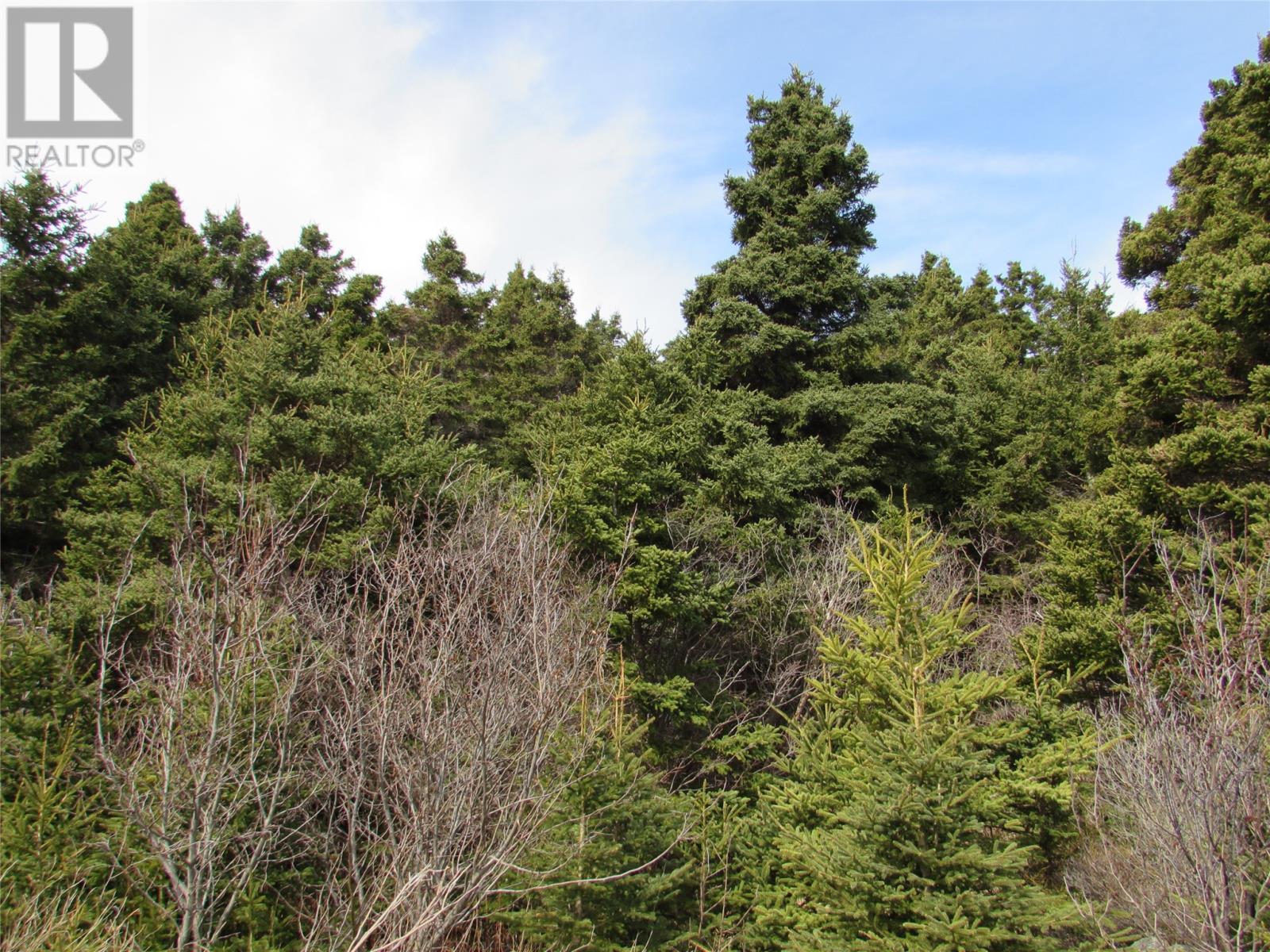 For sale: 9 Cove Road, Colliers, Newfoundland & Labrador A0A1Y0 ...