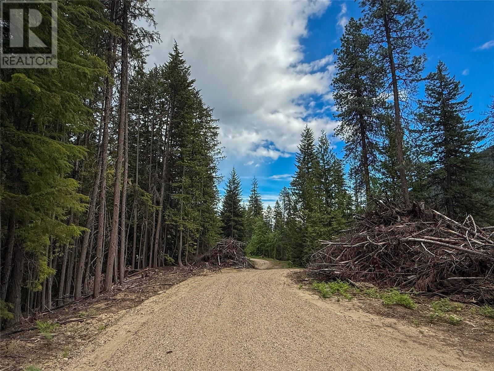 For sale: 3945 Saunders Road, Passmore, British Columbia V0G2J0 ...