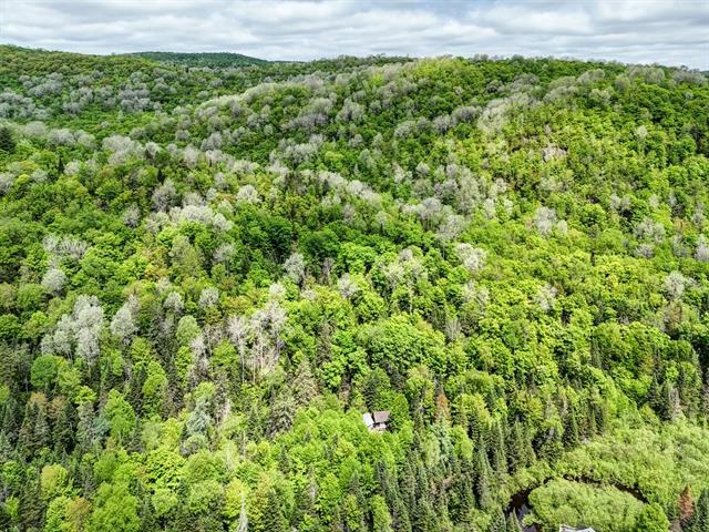 For sale: Route 323 N., Amherst, Quebec J0T2L0 - 19647944 | REALTOR.ca