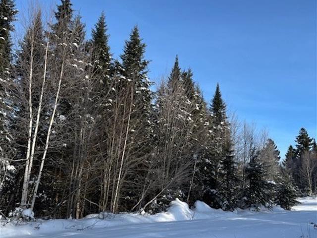 For sale: Rue des Lilas, Val-David, Quebec J0T2N0 - 19762417 | REALTOR.ca