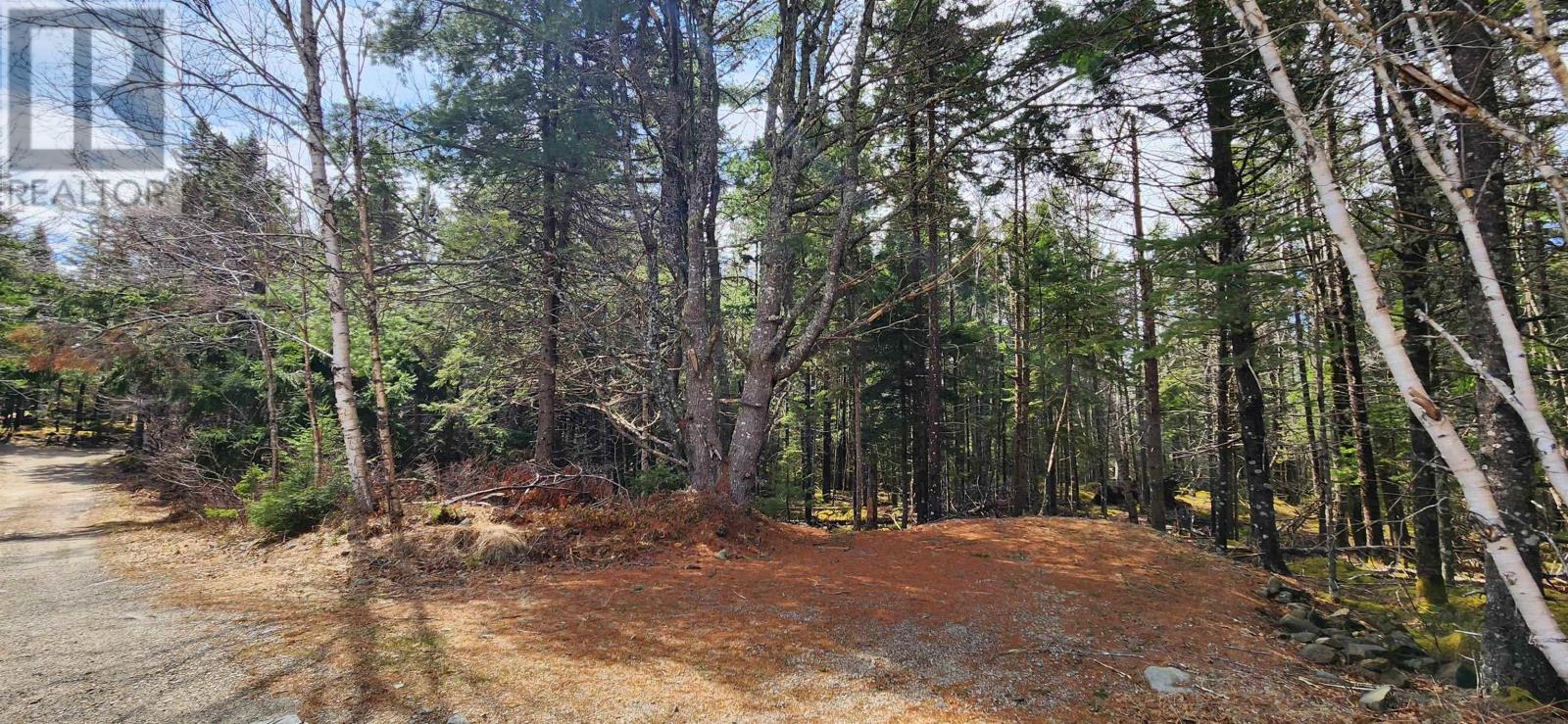 For sale: Lot 101 Woods Road, Bayswater, Nova Scotia B0J1T0 - 202506420 ...