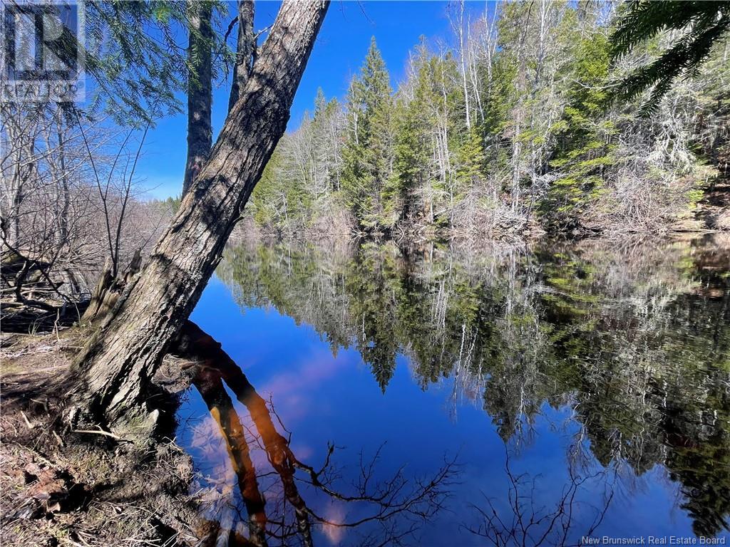 For sale: lot Route 126, Rogersville, New Brunswick E4Y2N8 - NB119222 ...